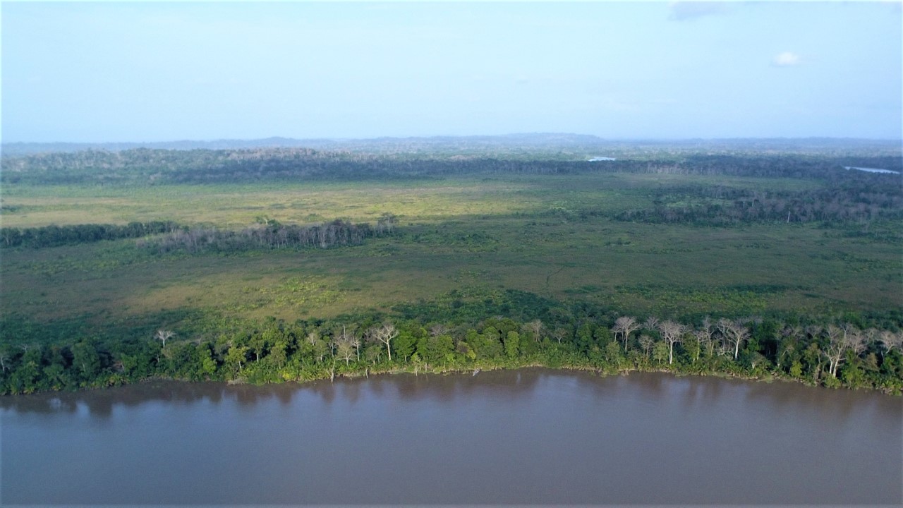 Tuira_-albardon-y-hamaca – Secretaría Nacional de Ciencia, Tecnología e ...